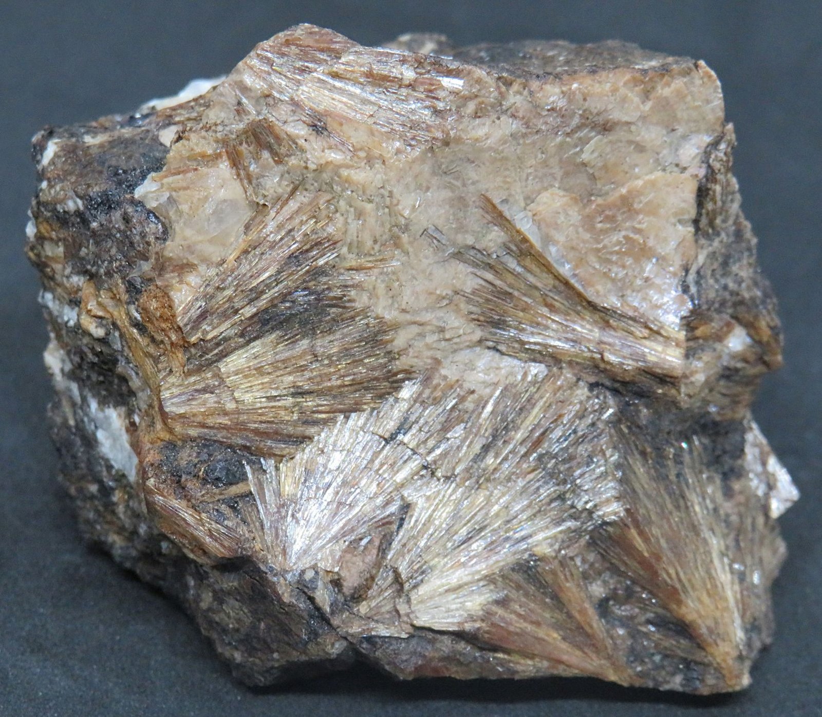 Inesite from the Zinc Corp Mine, Broken Hill