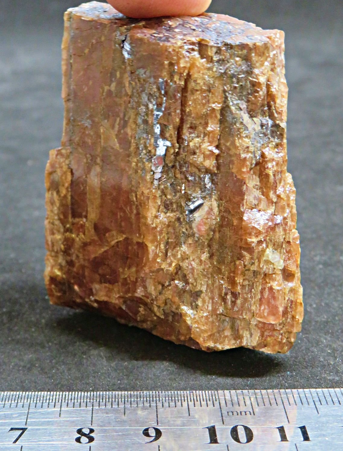 Bustamite from the NBHC Mine, Broken Hill (stock code B7F0322 ...