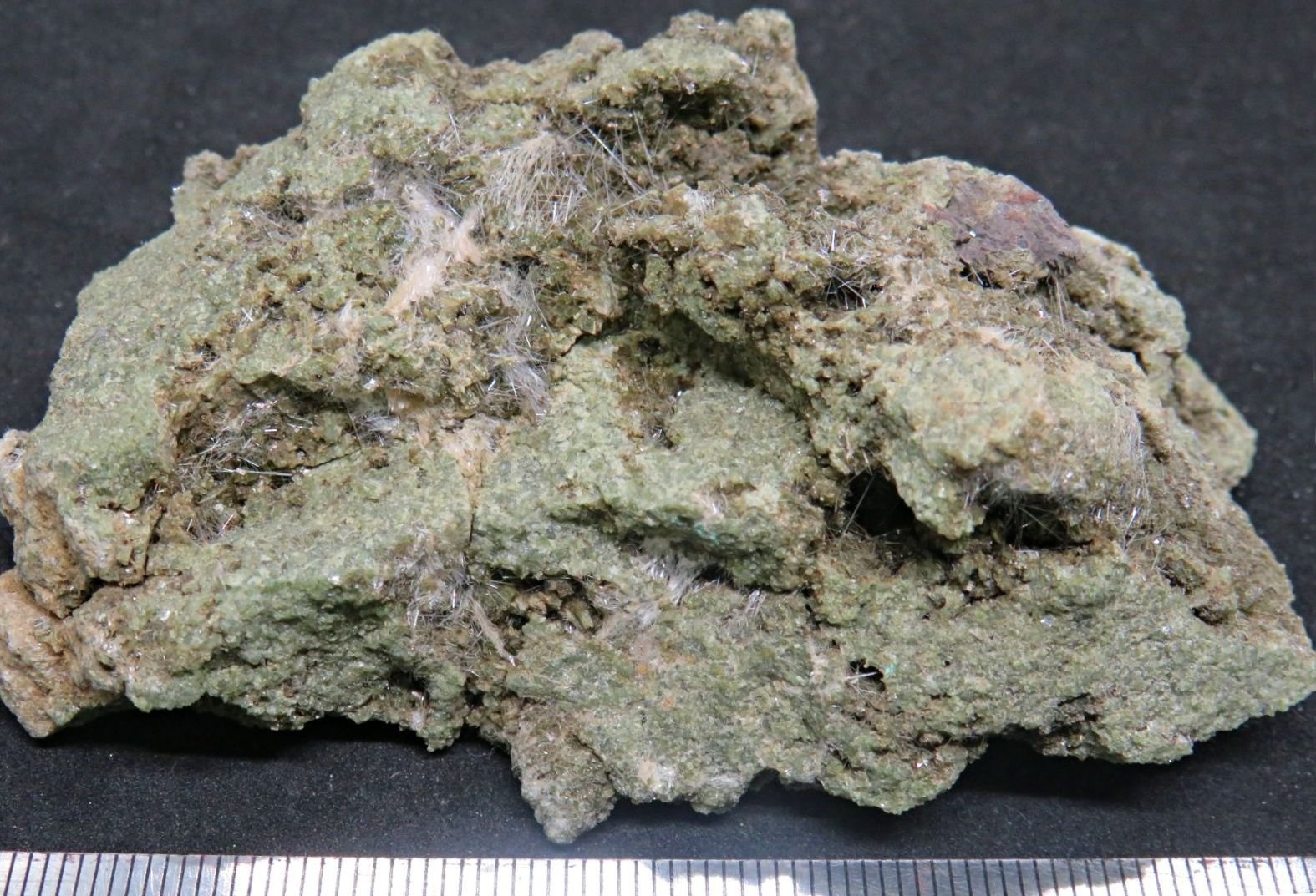 Hairy Bustamite from the North Mine, Broken Hill (stock code B7J0322 ...